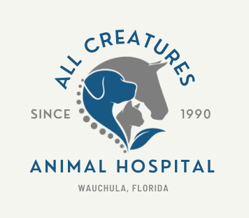Dog Bundles - All Creatures Animal Hospital